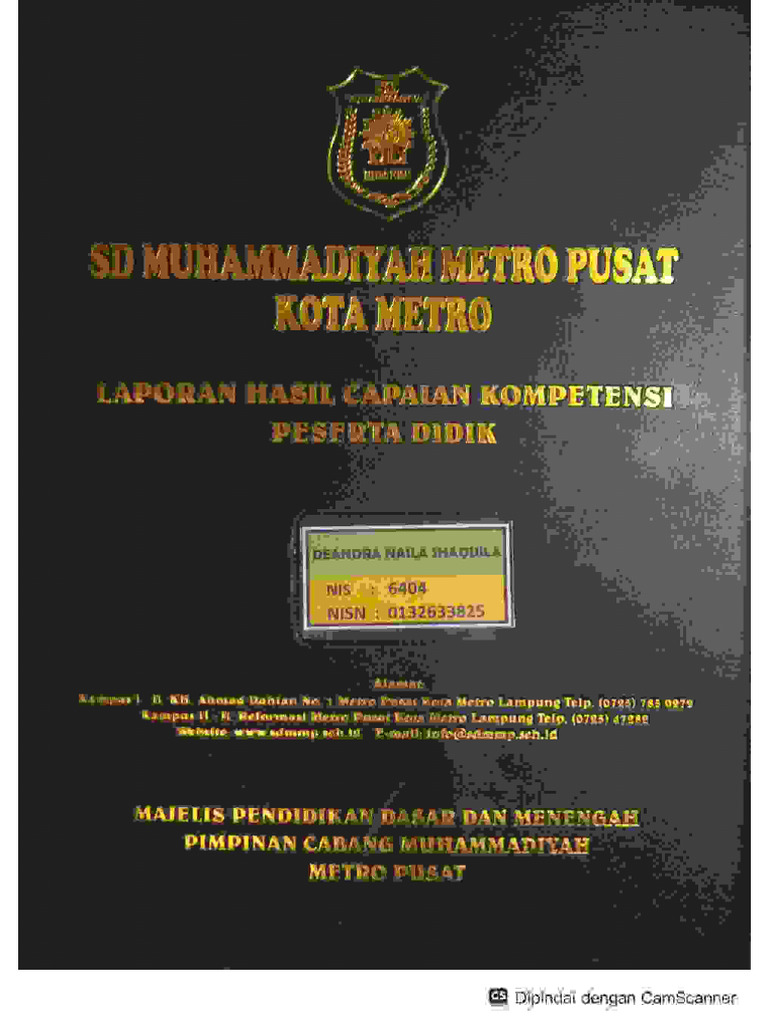 Rapot Naila - Compressed 100 | PDF