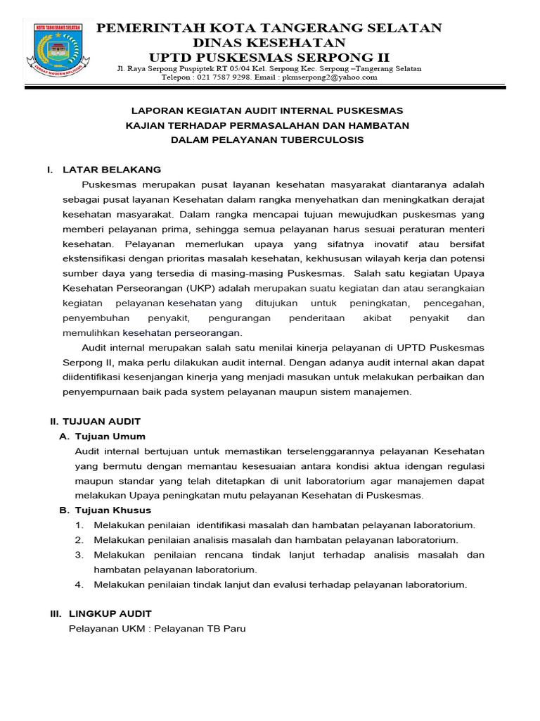 Audit Internal Pelayanan TB | PDF