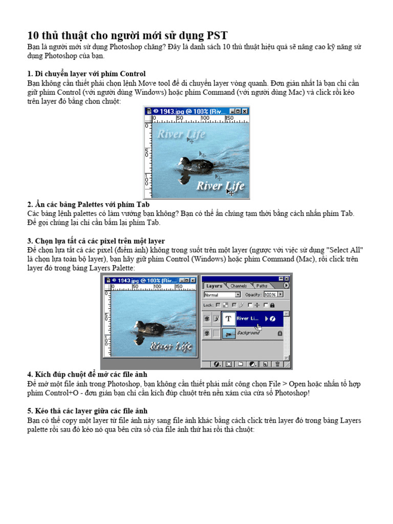 10 thủ thuật cho người mới sử dụng PST | PDF