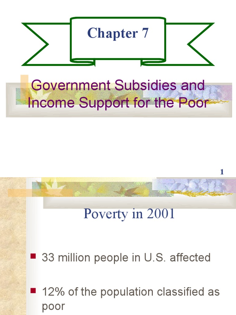 Government Subsidies and Income Support For The Poor | PDF | Earned ...