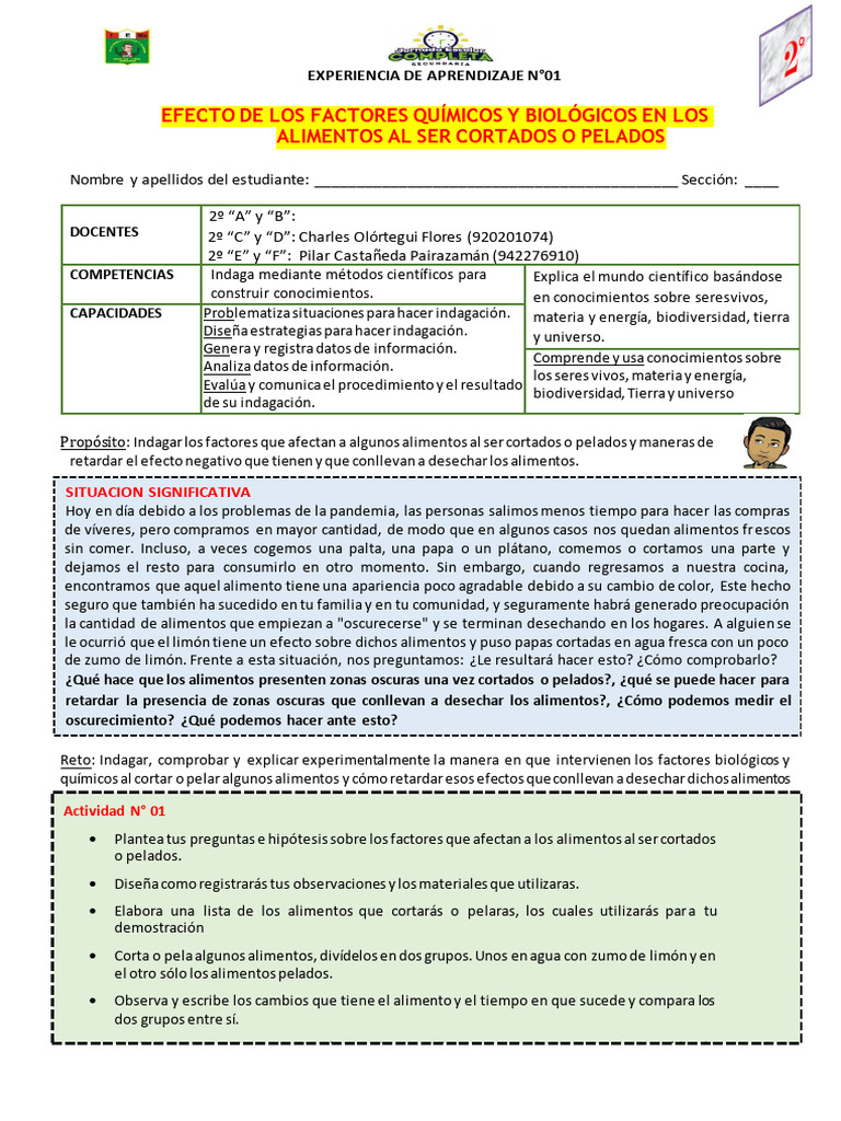 ACTIVIDAD 01 SEGUNDO AÑO CyT - 2021 ACT. | PDF | Experimentar | Cognición