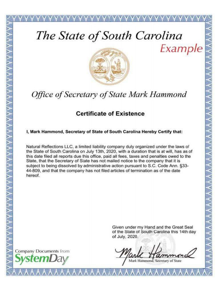 South Carolina Certificate of Good Standing Example | PDF