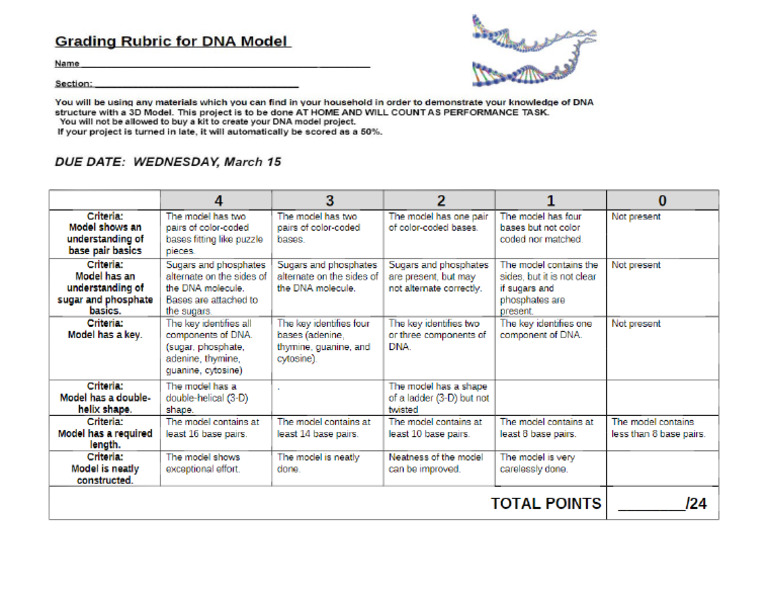 Rubrics Dna Model | PDF