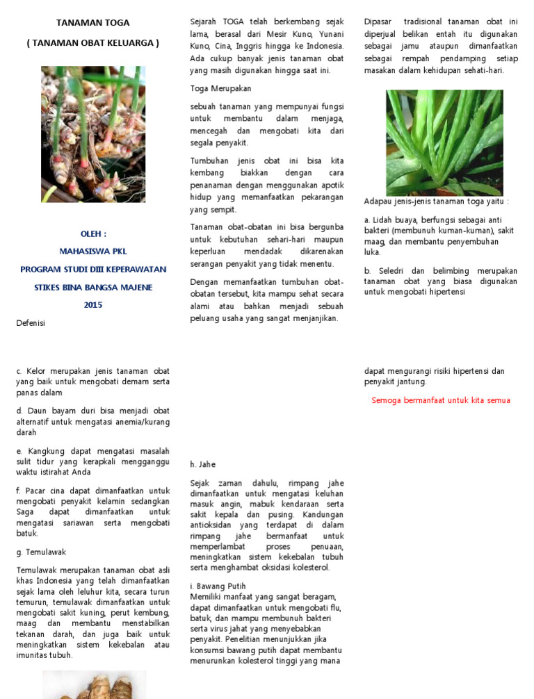 Manfaat dan Jenis Tanaman TOGA | PDF | Kesehatan Holistik