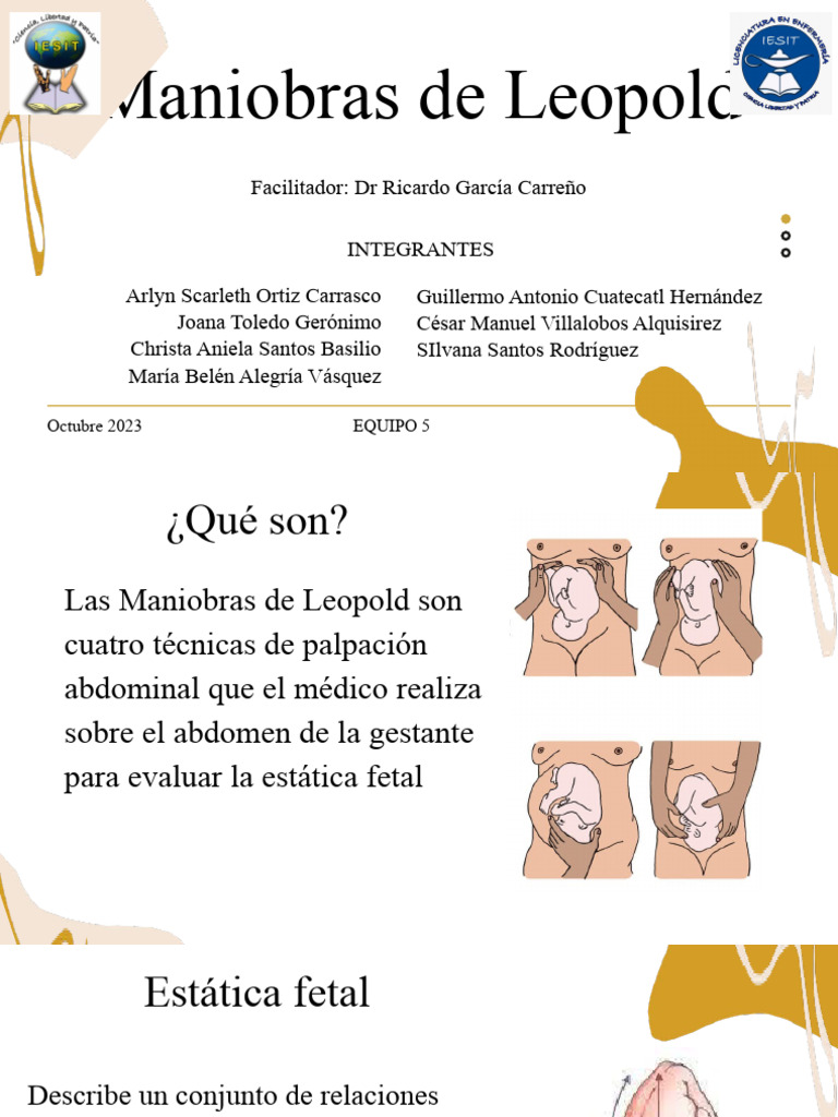 Maniobras de Leopold | PDF | Obstetricia | Salud maternal