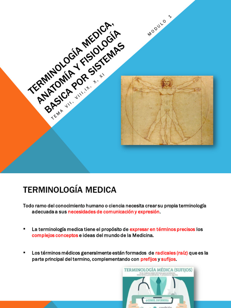 Terminologia Medica, Anatomia y Fisiologia | PDF | Hueso | Esqueleto