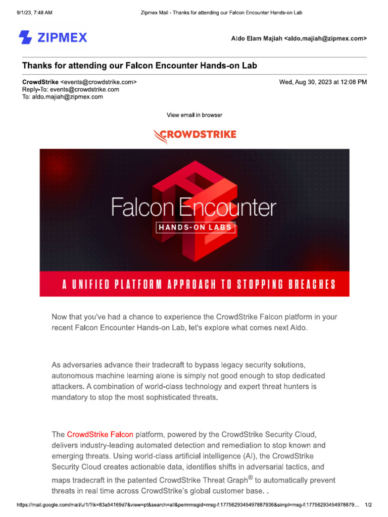 23 Crowdstrike | PDF