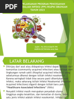 Program Ppi 2025 | PDF