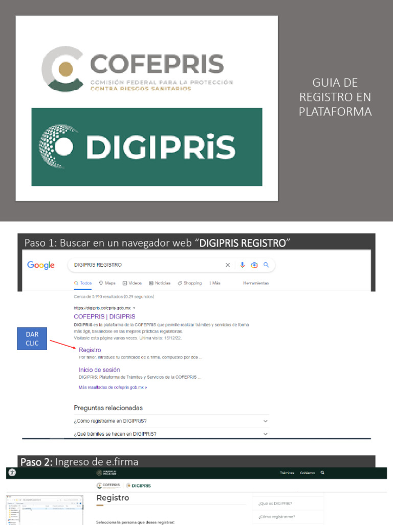 Guia Registro Digipris | PDF