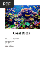 Coral Reef Food Web Dynamics | PDF | Coral Reef | Coral