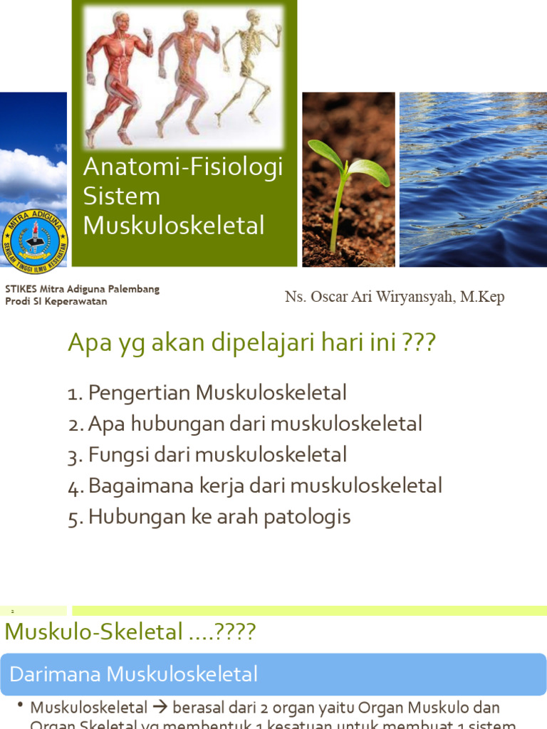 Anatomi Fisiologi Sistem Muskuloskeletal | PDF