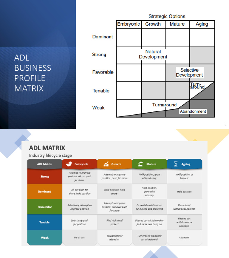 ADL Matrix | PDF