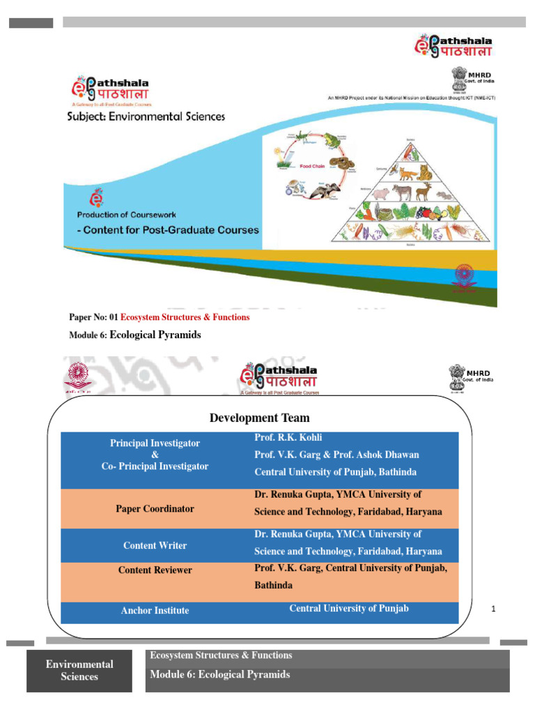 Understanding Ecological Pyramids | PDF | Food Web | Biomass (Ecology)