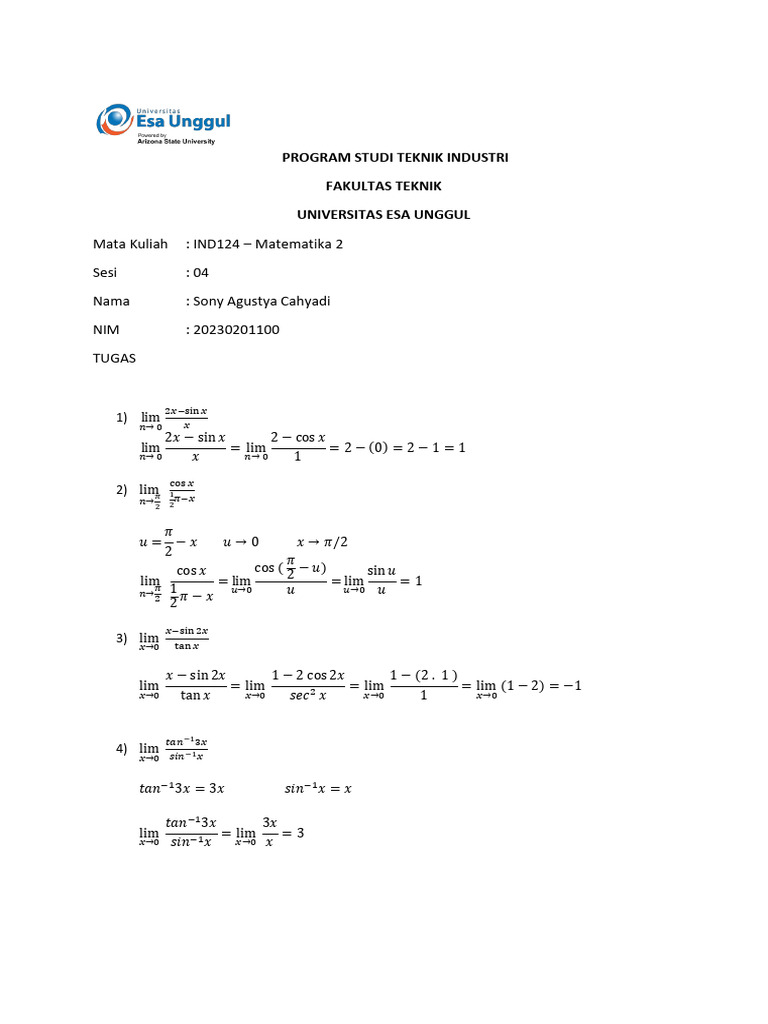 Calculus Limits Exercises and Solutions | PDF