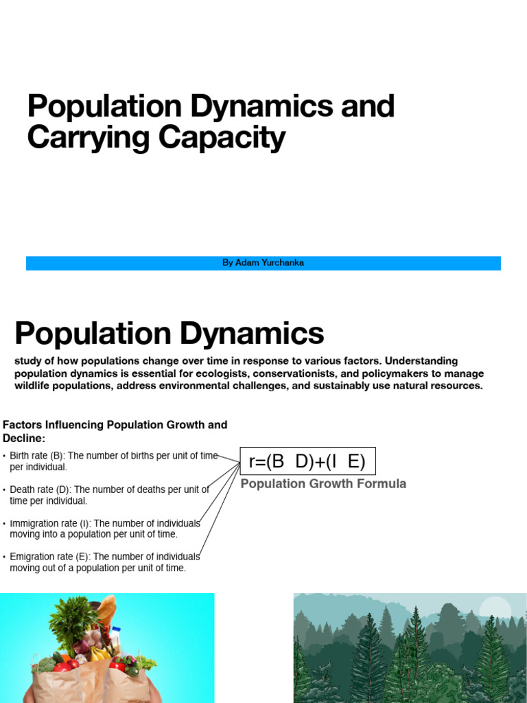 Geography Project Second Version | Download Free PDF | Population ...