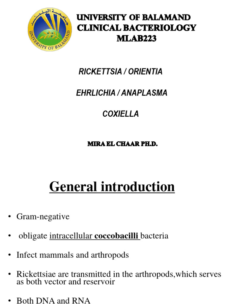 Ehrichia Rickettsie Q Fever Anaerobes | PDF | Infection | Immunology Ehrichia Rickettsie Q Fever Anaerobes | PDF | Infection | Immunology