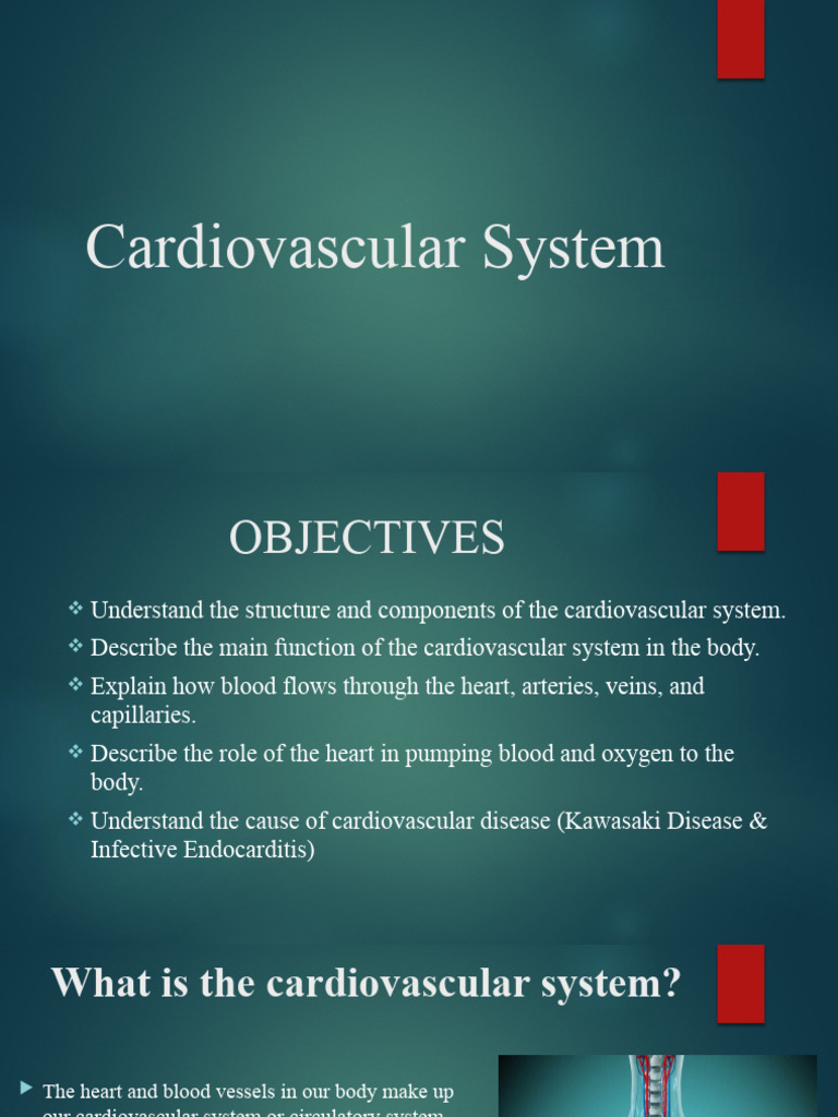 Understanding the Cardiovascular System | PDF | Atrium (Heart) | Heart ...