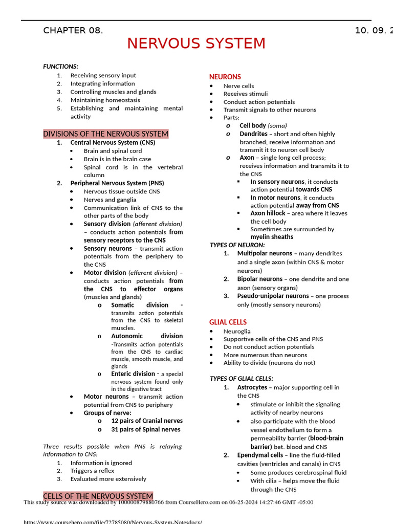 Nervous System Notes | PDF | Central Nervous System | Axon