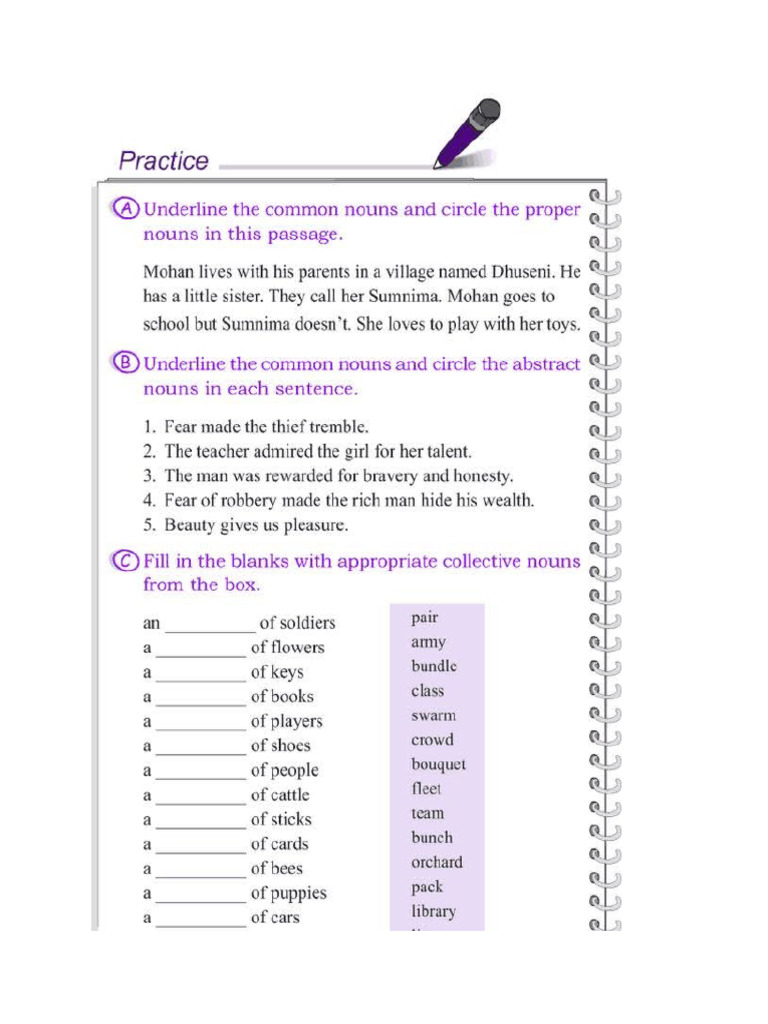 Noun Types and Examples Guide | PDF