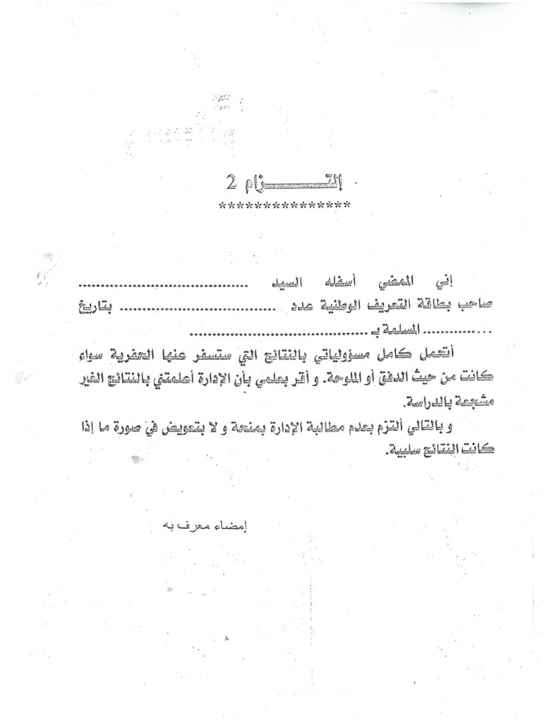 Saida | PDF