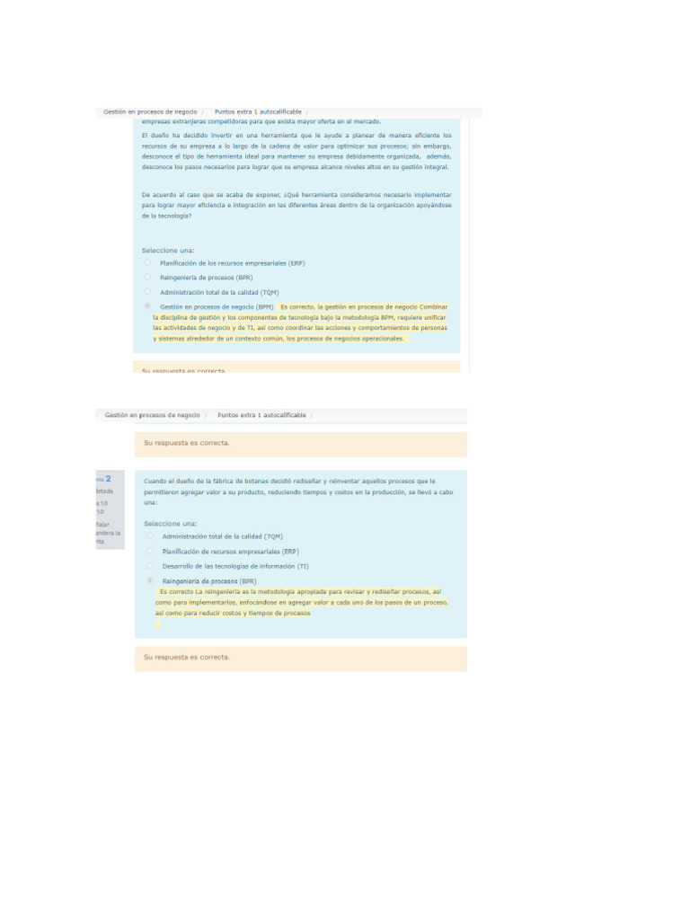 Gestion de Procesos de Negocio Puntos Extr Autocalificable 1 | PDF