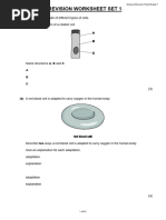 Year 7 Science Booklet | PDF | Gases | Liquids