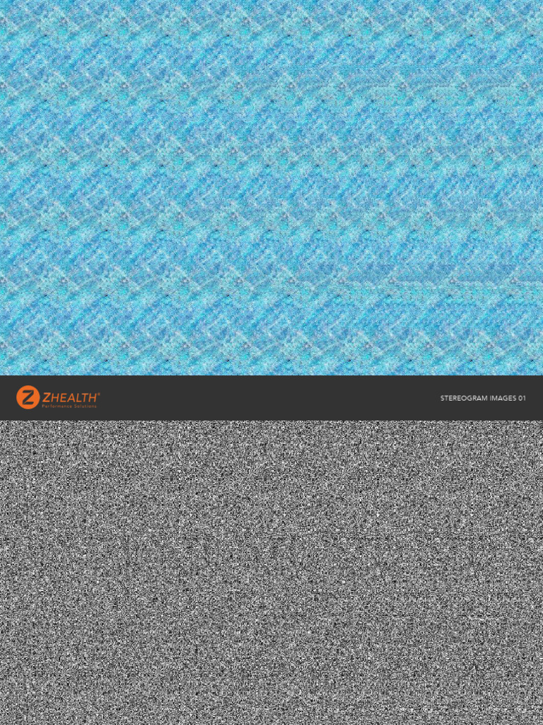 ZHealth Vision Gym Stereograms 1-5 and Results | PDF