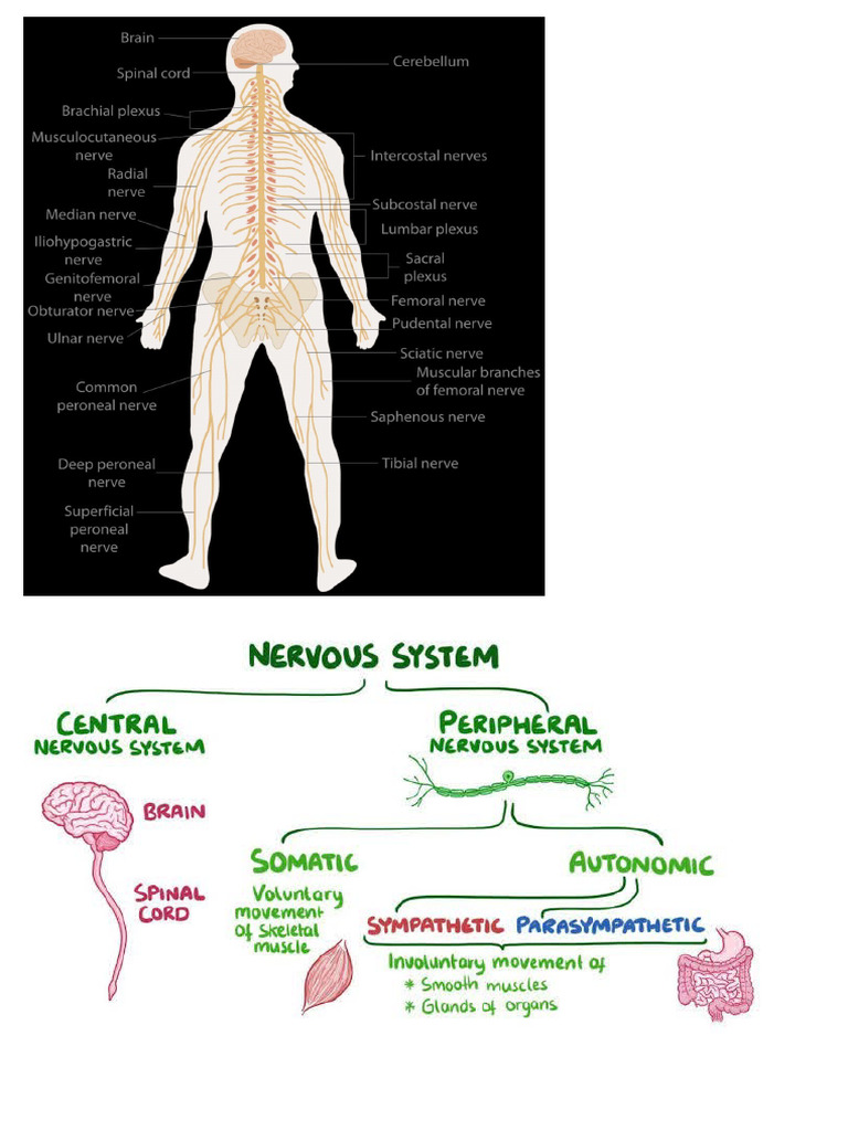 science 1 and 2 | PDF