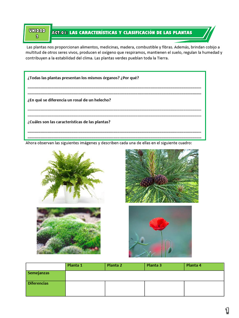 Unidad 2 - Act 1 | PDF