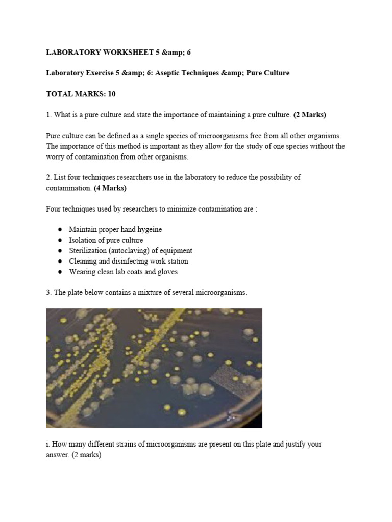 Aseptic Techniques for Pure Culture | PDF | Biology | Microbiology