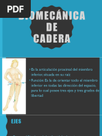 Articulación Coxofemoral Cuadro Integrador | PDF | Rodilla | Cadera