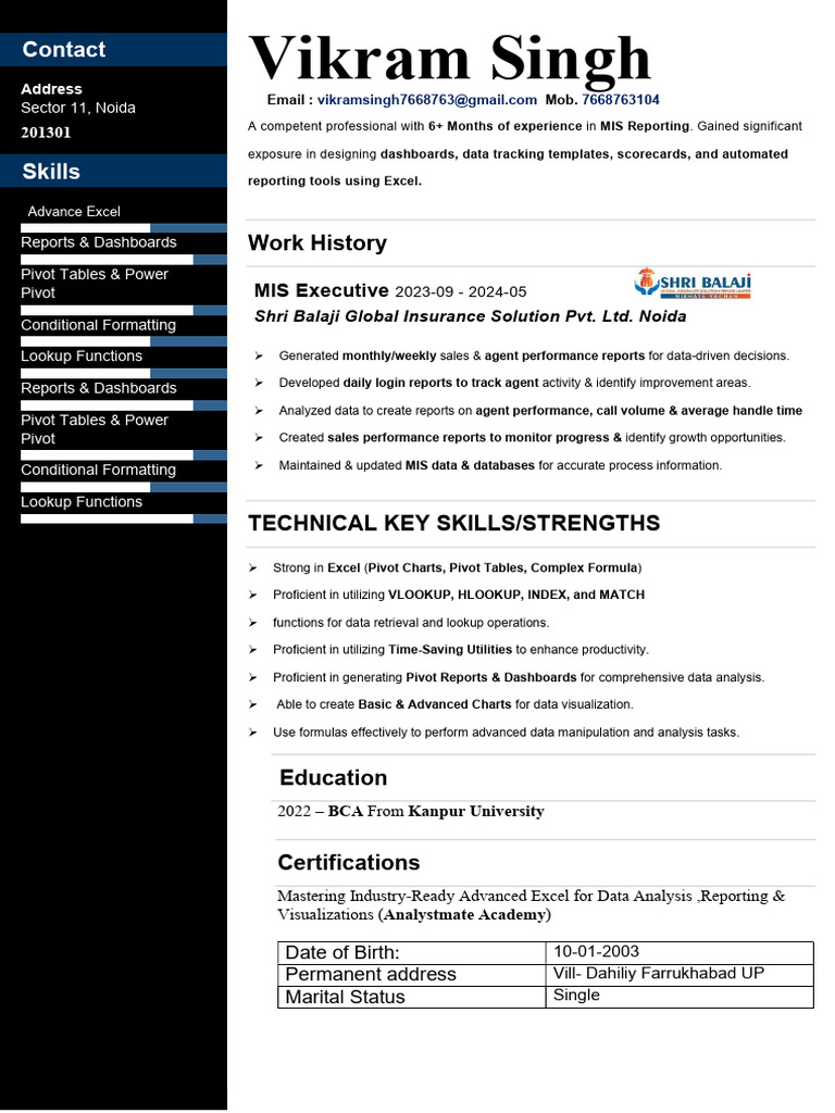 Vikram Singh - MIS Executive | PDF | Microsoft Excel | Computing