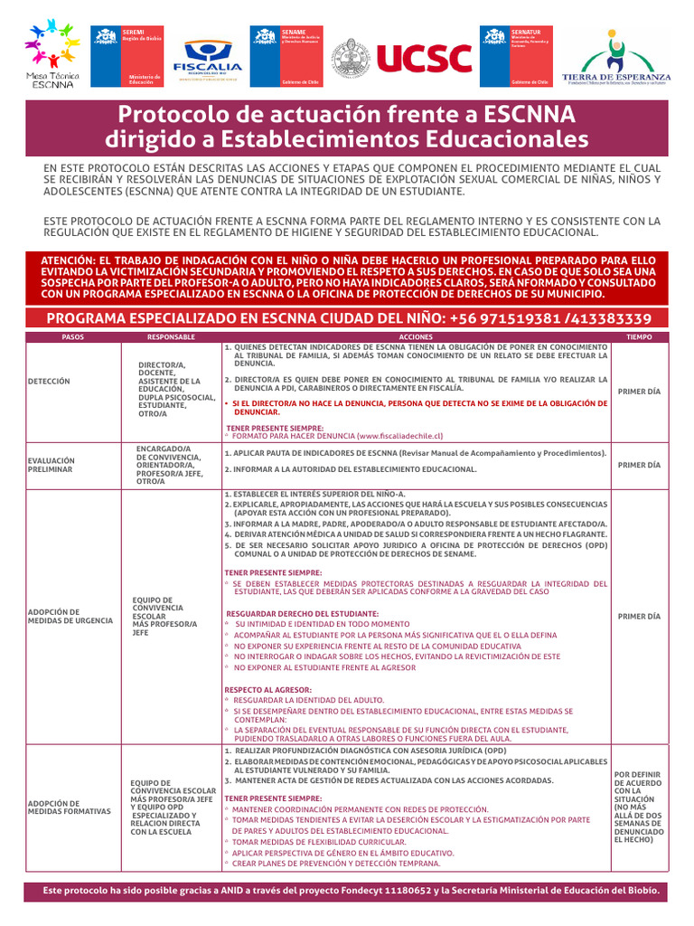 Afiche Protocolo ESCNNA | PDF | Victimologia | Maestros