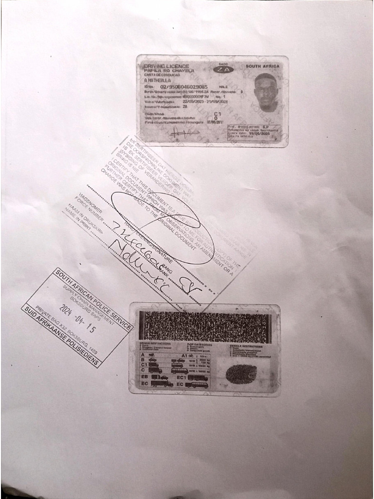 PDF Drivers License | PDF