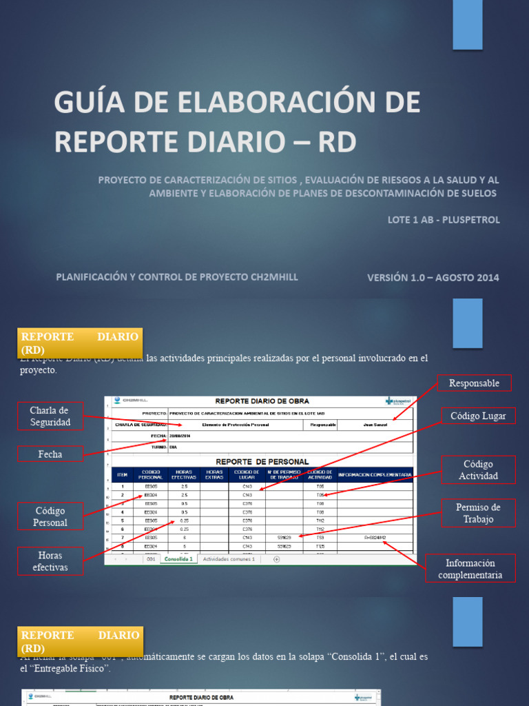 Guía de Elaboración de Reporte Diario - RD | PDF