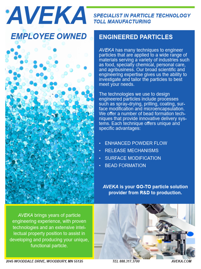 Engineered-Particles 2024 | PDF | Engineering | Materials Science