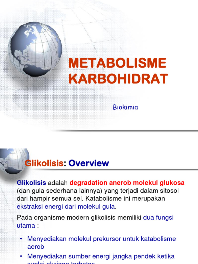 Metabolisme Karbohidrat | PDF