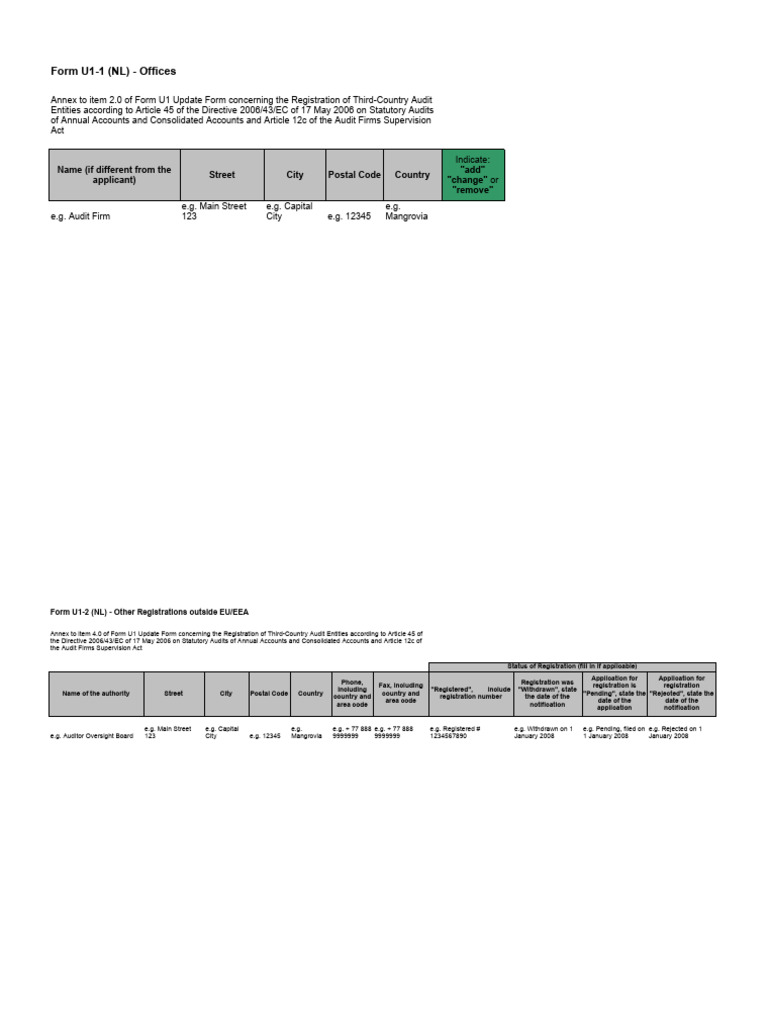 Form U1 Annexes | PDF | Audit | Business