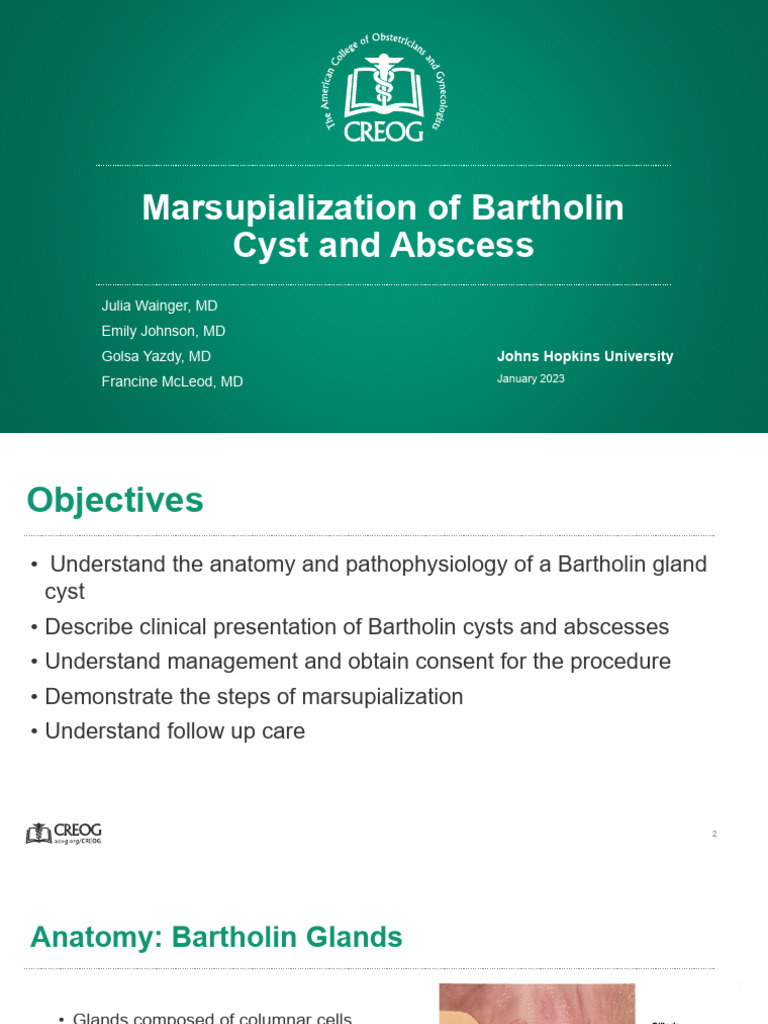 Marsupialization of Bartholin Cyst and Abscess - ACOG 2023 | PDF ...