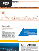 PNGRB Guidelines Overview | PDF | Natural Gas | Pipeline Transport