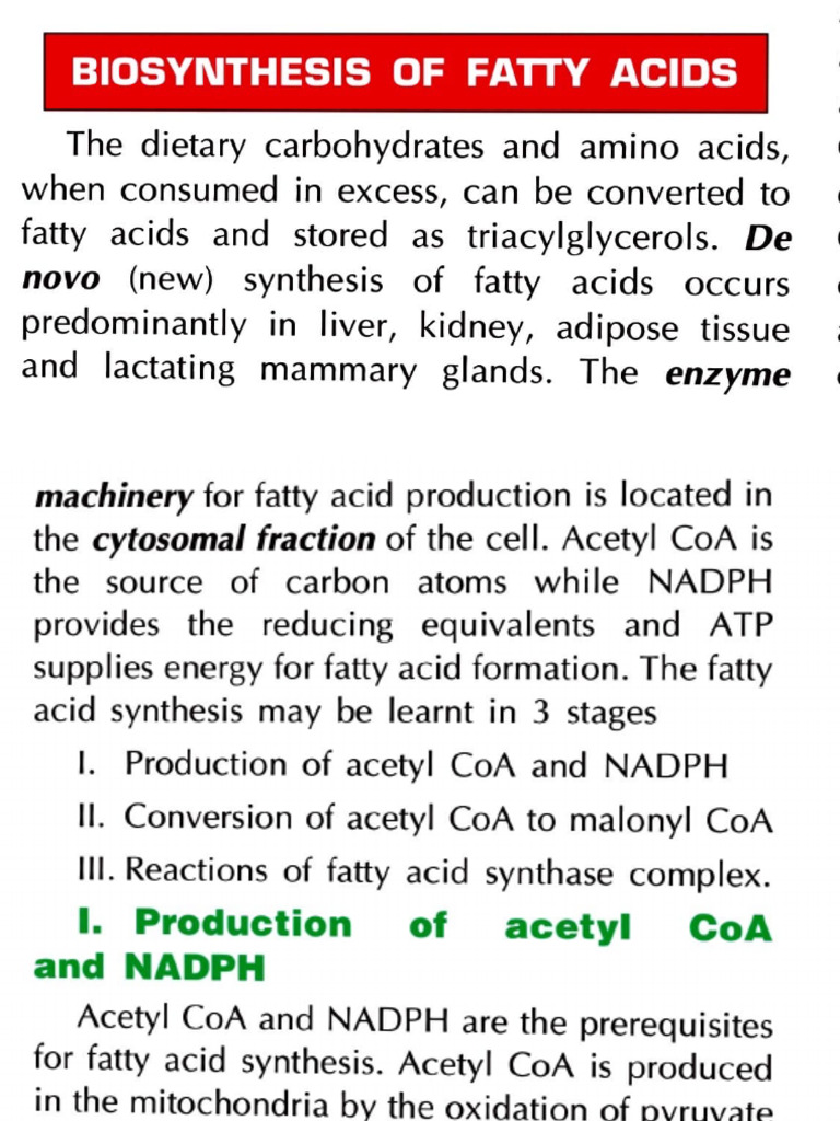 Biosynthesis of Fatty Acid | PDF