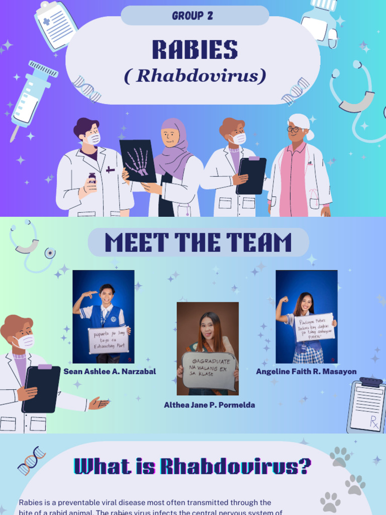 RABIES | PDF | Rabies | Virus