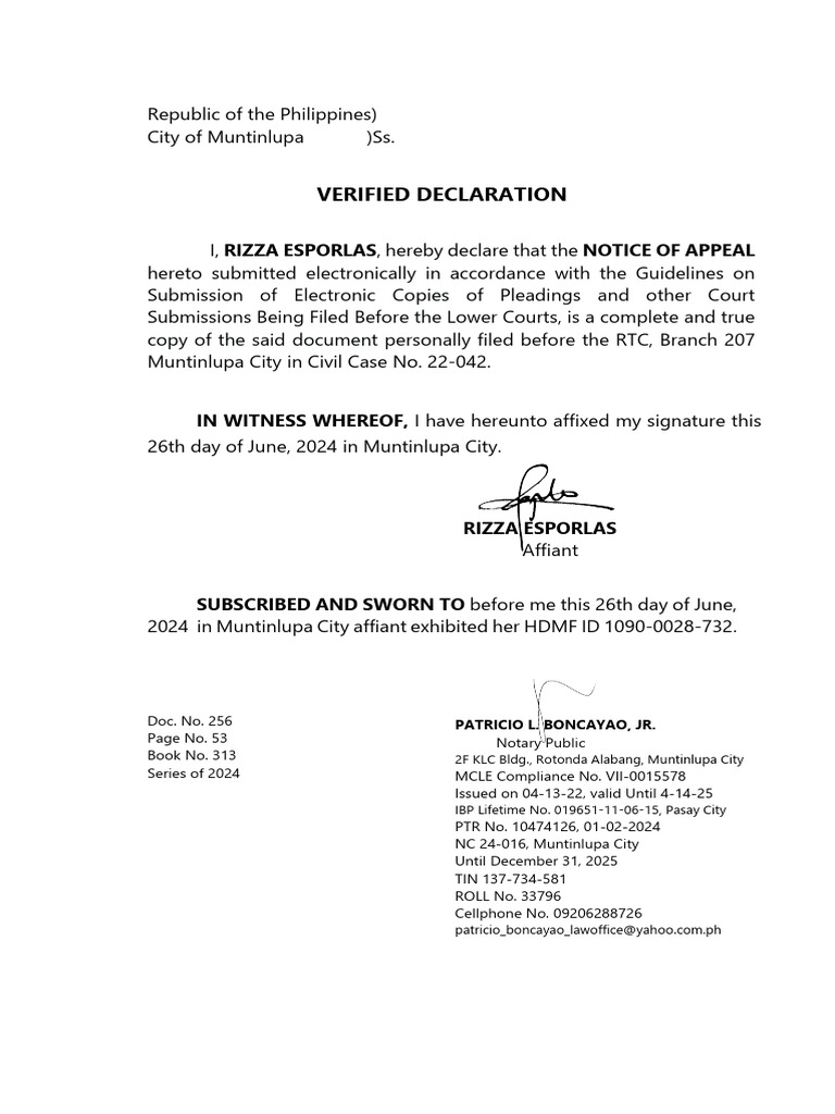 Verified Declaration - Vanessa | PDF