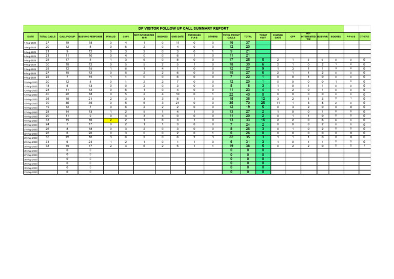DP Visitor Follow Up Call Summary Report | PDF