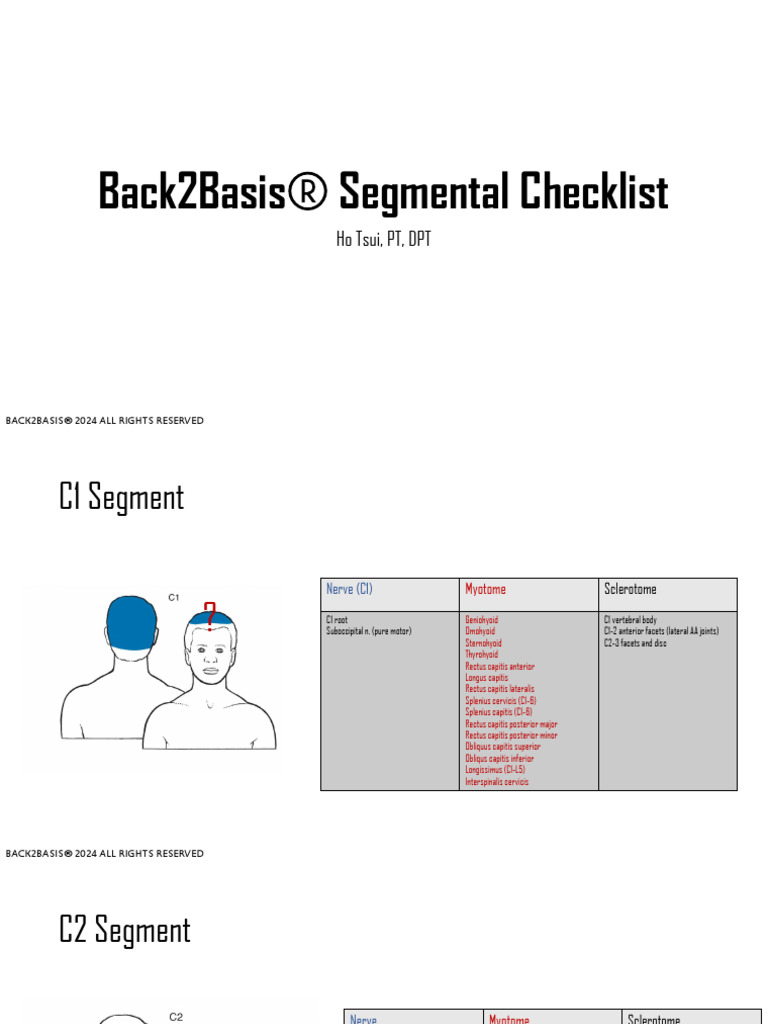 B2B Spinal segments checklist | Download Free PDF | Foot | Thumb