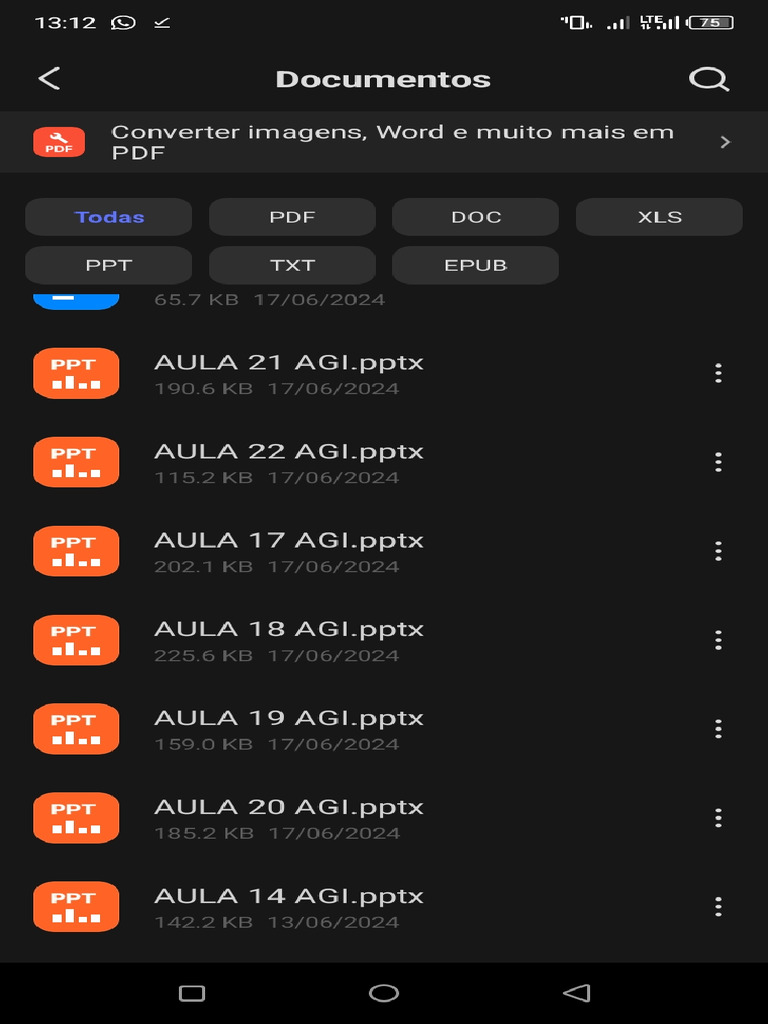 PDF Phoenix 20240704 131457 | PDF