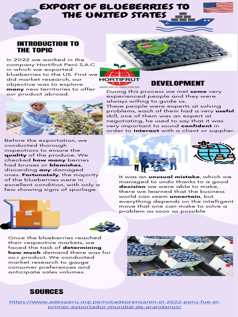 Infografía Inglés AA3 | PDF