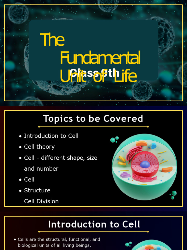 Fundamental Unit of Life Overview | PDF | Cell (Biology) | Cell Membrane