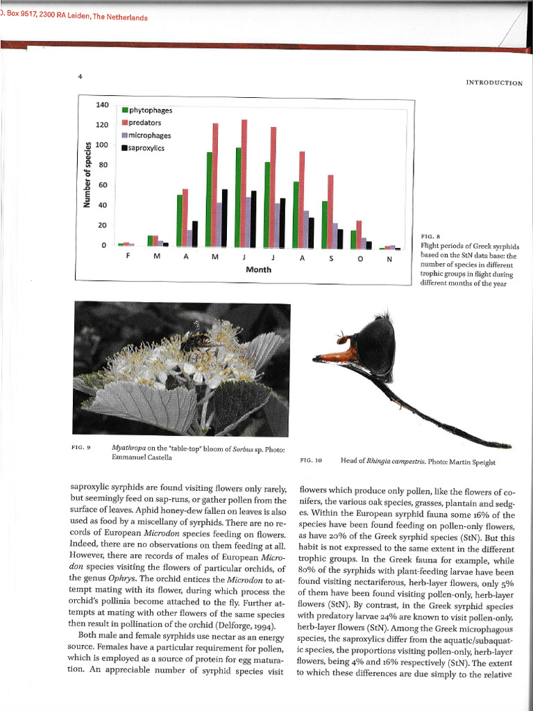 Scan - Lida Soukouli Servou - 202406171445 | PDF