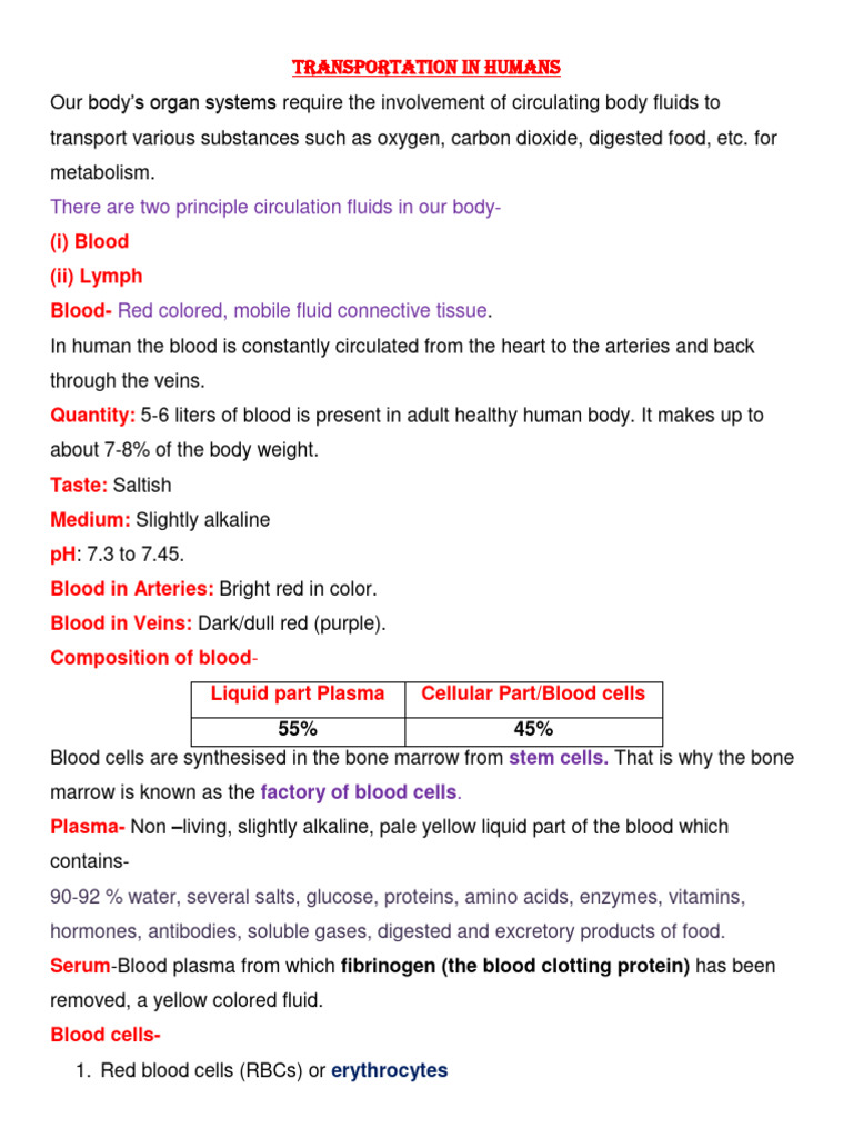 Notes - Transportation in Humans | PDF | Heart | Atrium (Heart)